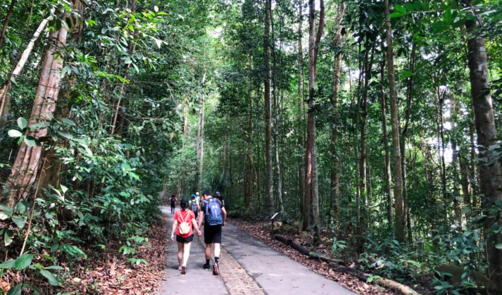 The Reserve Residences Far East Jalan Anak Bukit Concept Tender will be ...